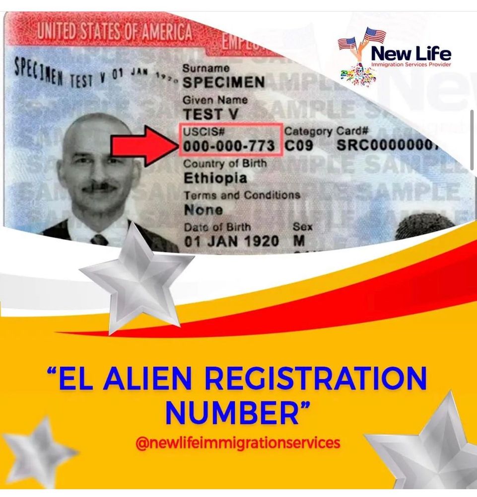 NEW LIFE IMMIGRATION SERVICES - Updated October 2024 - 31 Photos ...