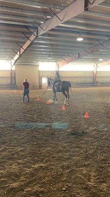 RENO TAHOE EQUESTRIAN CENTRE - Updated December 2024 - 24 Photos - 2455 ...