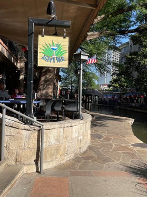 AGAVE BAR - Updated September 2024 - 74 Photos & 144 Reviews - 521 ...