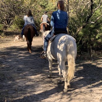 DIAMOND SPRINGS RANCH - Updated October 2025 - 28 Photos - 1734 SE 96th ...