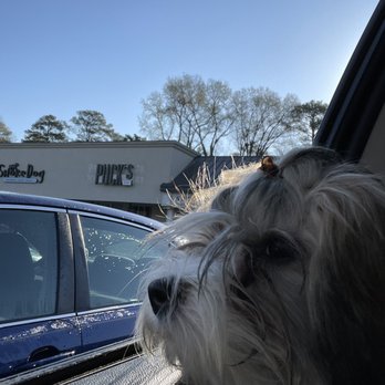 SHOREDOG CAFE - Updated June 2025 - 196 Photos & 98 Reviews - 435-B N ...