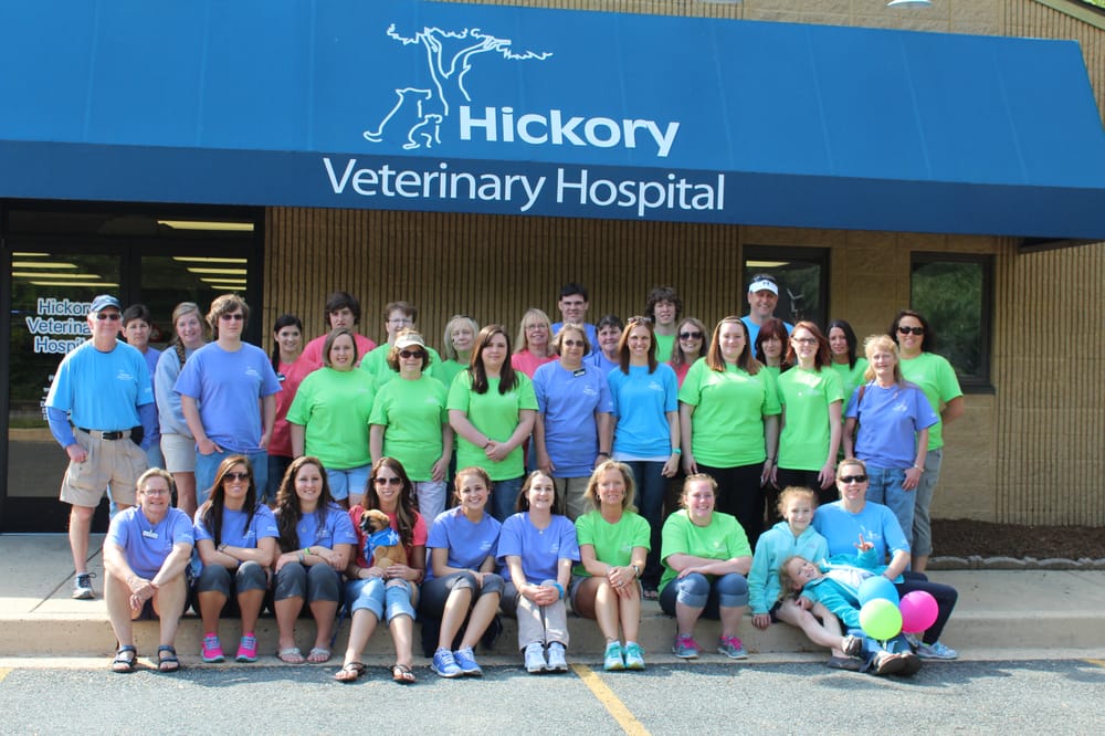 HICKORY VETERINARY HOSPITAL - 14 Reviews - 534 E Jarrettsville Rd, Forest Hill, Maryland ...