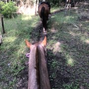 WESTCREEK TRAIL RIDES - 68 Photos & 60 Reviews - Horseback Riding ...