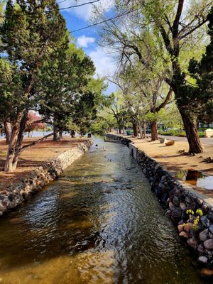 VIRGINIA LAKE PARK - Updated December 2025 - 481 Photos & 85 Reviews ...