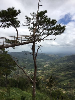 BUCARI PINE TREE FOREST - Updated March 2025 - Leon, Iloilo ...