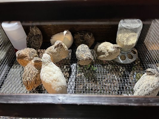 GRAHAM HAY MARKET - Updated December 2025 - 13 Reviews - 22818 Meridian ...