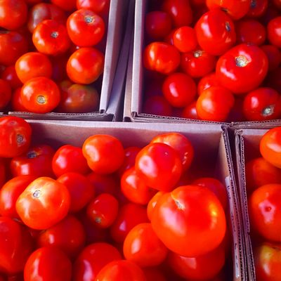 MCADAMS FARM - Updated April 2025 - 37 Photos & 10 Reviews - 1100 N ...