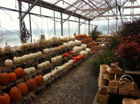 TENDERCROP FARM - Updated January 2026 - 29 Photos & 93 Reviews - 108 ...