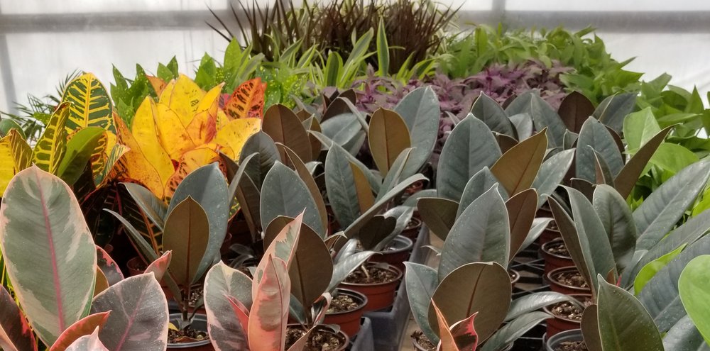 LANCASTER GARDENS - Updated December 2025 - 24 Photos & 10 Reviews ...