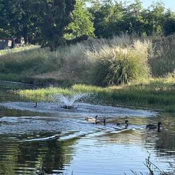 49ER VILLAGE RV COMMUNITY - Updated September 2025 - 213 Photos & 175 ...