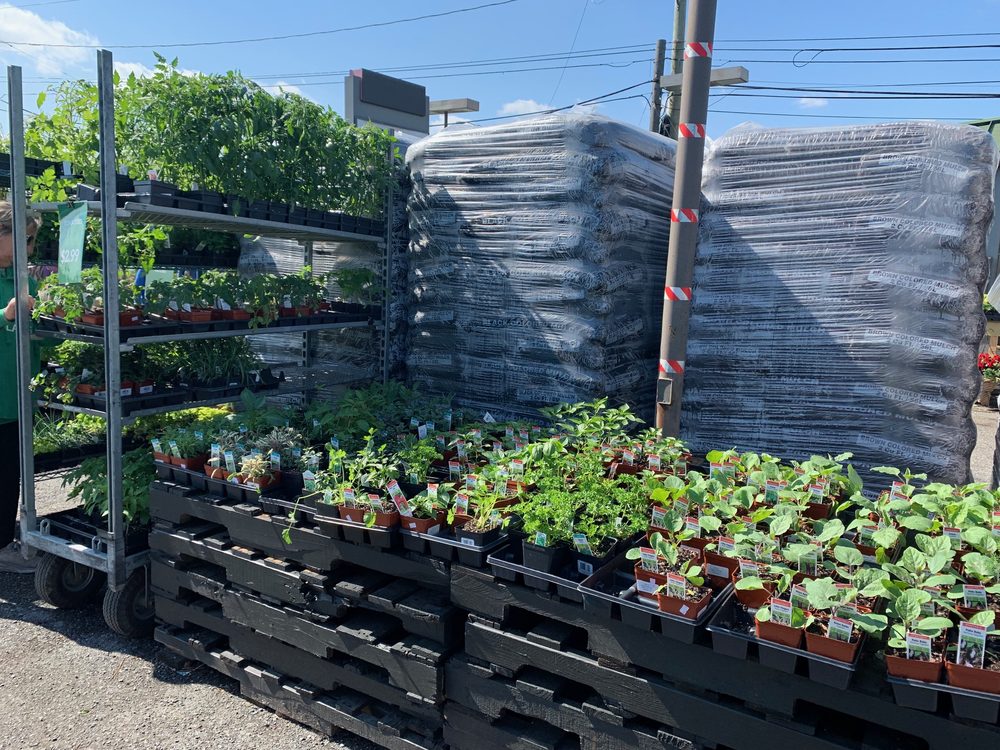 SECOND CHANCE PLANTS - Updated May 2026 - 21 Reviews - 1201 Harrisburg ...