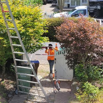MARIN TREE PROS - Updated January 2026 - 44 Reviews - 517 Pineo Ave ...