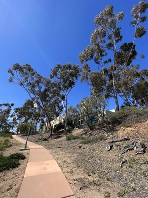 SCRIPPS MIRAMAR RANCH LIBRARY - Updated December 2025 - 105 Photos & 57 ...