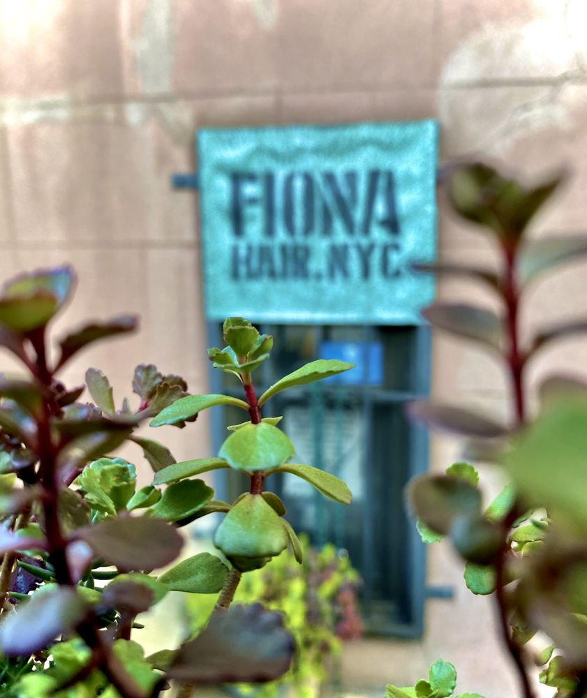 FIONA HAIR NYC - Updated October 2025 - 31 Photos & 70 Reviews - 488 ...