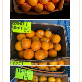 SHASTA PRODUCE COMPANY - Updated December 2025 - 16 Photos - 131 ...