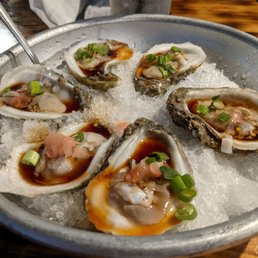 KELLY’S HALF SHELL PUB - 234 Photos & 230 Reviews - 390 N Suncoast Blvd ...