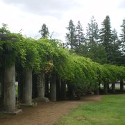 ROEDING PARK - 13 Photos & 16 Reviews - 890 W Belmont Ave, Fresno ...