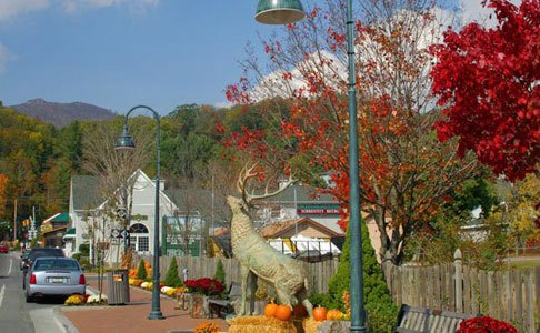 TYNECASTLE REALTY - Updated July 2025 - 4501 Tynecastle Hwy, Banner Elk ...