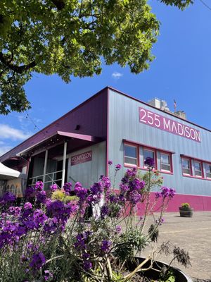 255 MADISON - Updated December 2025 - 15 Photos - 255 Madison St ...