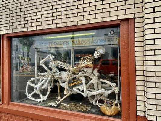 FROGGY’S SALOON - 38 Photos & 33 Reviews - 800 Main St, Daytona Beach ...