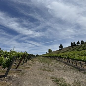 OPOLO VINEYARDS - Updated October 2025 - 828 Photos & 641 Reviews ...