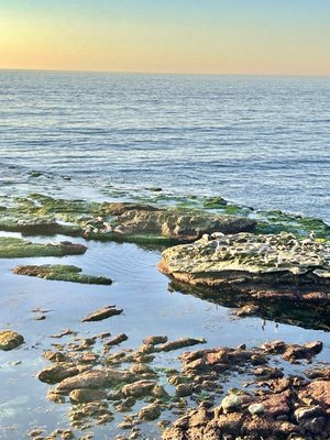 SHELL BEACH - Updated October 2025 - 196 Photos & 40 Reviews - Coast ...
