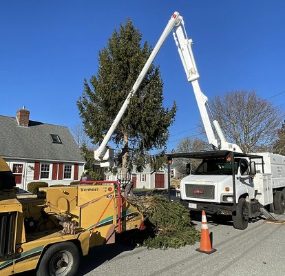 ROBERY’S TREE SERVICE - Updated December 2025 - 27 Photos & 10 Reviews ...