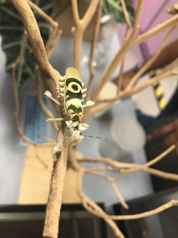 301 Moved Permanently