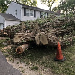 MAHWAH TREE CORPORATION - 10 Photos & 14 Reviews - 92 North Ramapo Ave ...