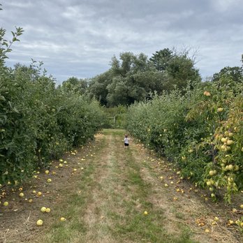 RUSSELL ORCHARDS - Updated October 2025 - 340 Photos & 249 Reviews ...
