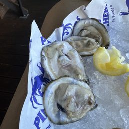 PINCHERS - Updated December 2025 - 559 Photos & 585 Reviews - 2360 W ...