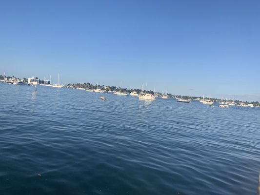 WATSON ISLAND PARK - 29 Photos & 11 Reviews - 1050 Macarthur Cswy ...