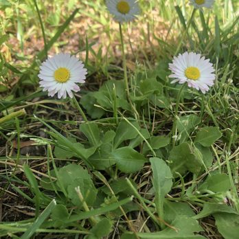 WEBER POINT EVENTS CENTER - Updated December 2025 - 17 Photos - 221 N ...