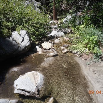Fern Basin Campground - 42 Photos & 19 Reviews - Hiking - Idyllwild, CA ...