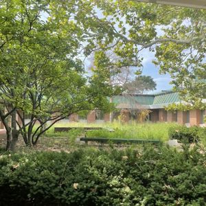 DEVRY UNIVERSITY ADDISON CAMPUS - Updated December 2024 - 14 Reviews ...