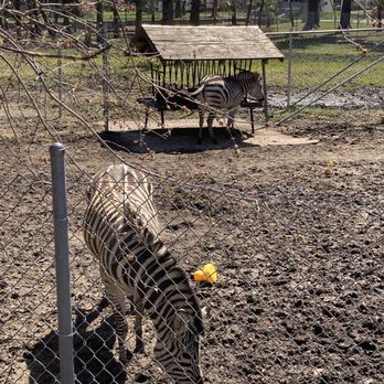 PINE GROVE ZOO - Updated October 2025 - 15 Photos - 1200 W Broadway ...