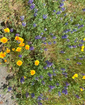 RAGLE RANCH REGIONAL PARK - Updated April 2025 - 57 Photos & 48 Reviews ...