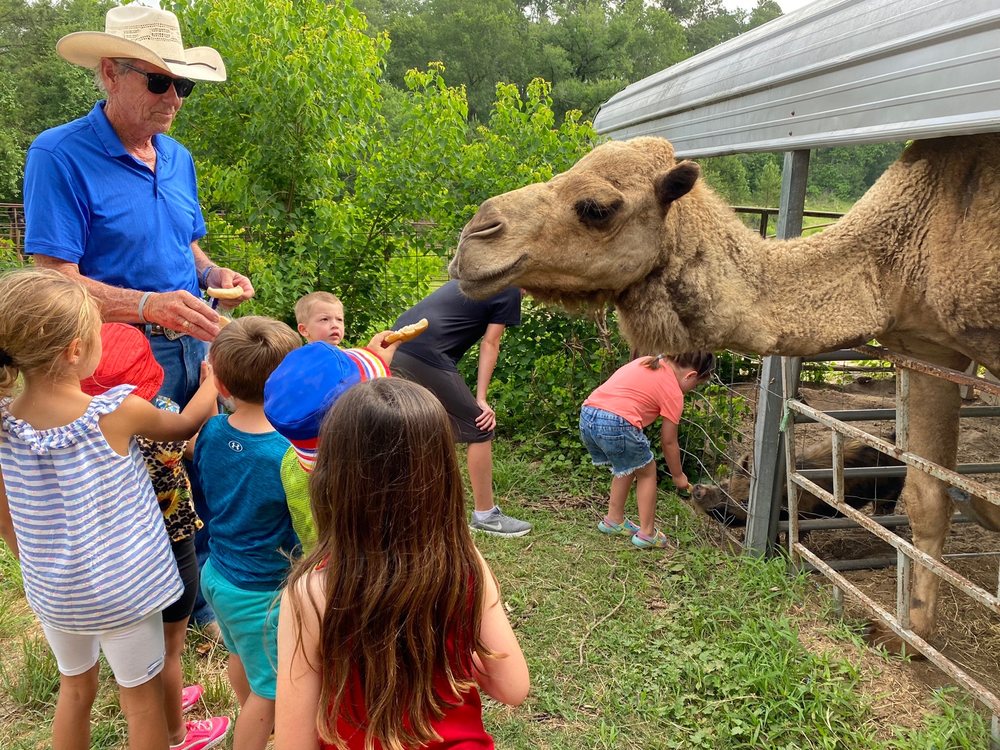 THE WILLIAMS RANCH - 70 Jones View Dr, Huntsville, TX - Yelp