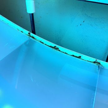 TAN DALLAS - Updated October 2025 - 36 Photos & 137 Reviews - 5400 E ...