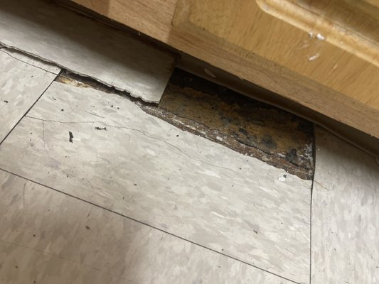 ROLLING RIDGE APARTMENTS - Updated July 2025 - 15 Ridge Ct E, West ...