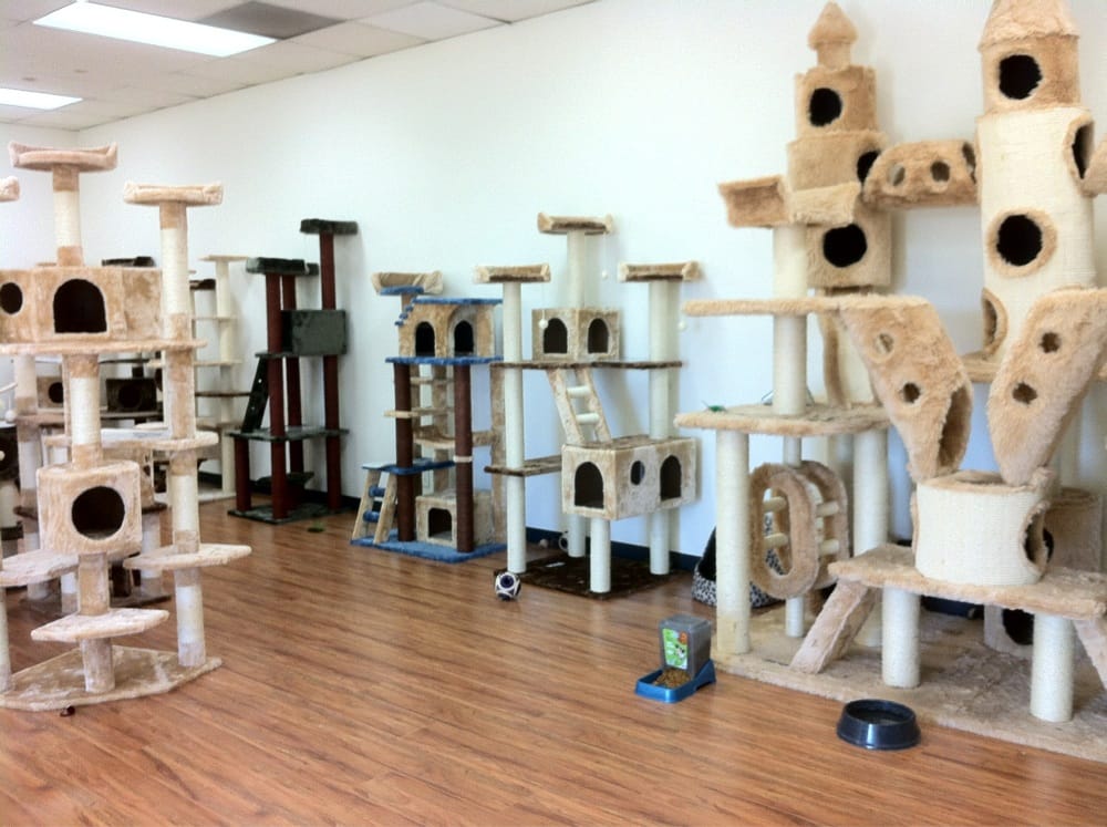 KITTY MANSIONS - 25 Photos & 33 Reviews - Pet Stores - 1734 S Vineyard ...