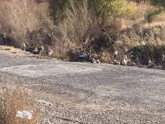 CLARK COUNTY WATER RECLAMATION DISTRICT - Updated December 2025 - 5857 ...