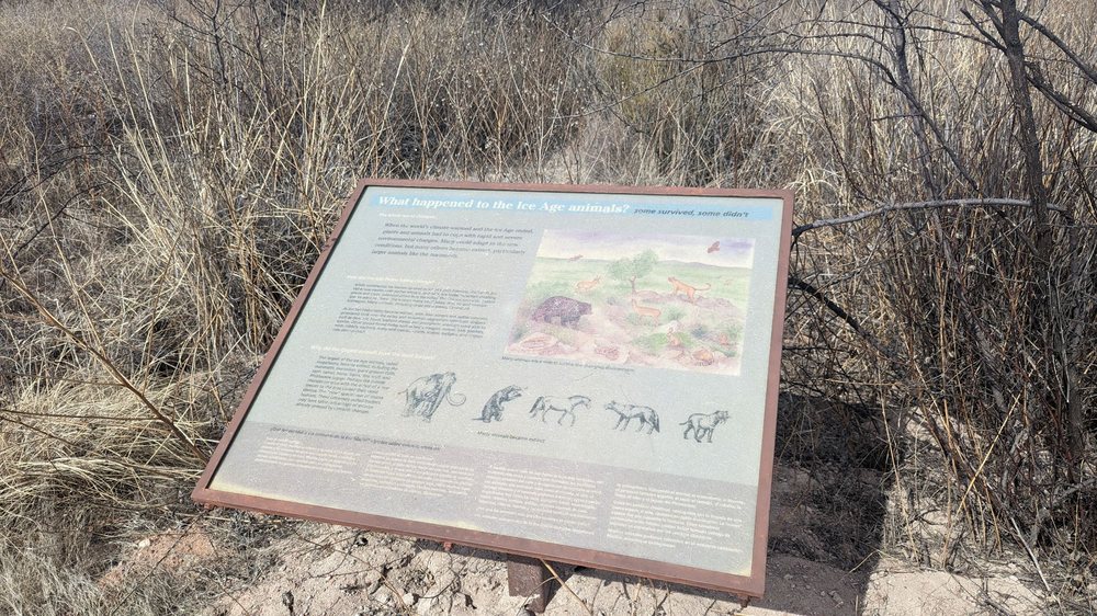 MURRAY SPRINGS CLOVIS SITE - Updated May 2025 - 20 Photos - North Moson ...