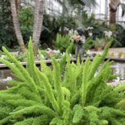 ROGER WILLIAMS PARK BOTANICAL CENTER - 170 Photos & 33 Reviews ...