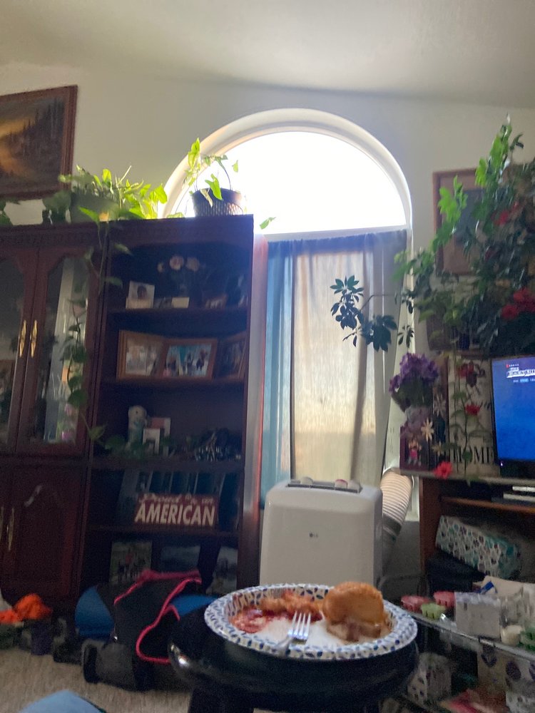 MUDD HUTT - Updated July 2024 - 15 Reviews - 274 Spring Creek Pkwy ...