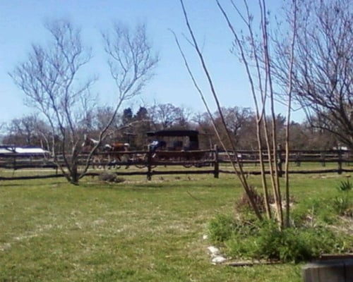 HOMESTEAD HERITAGE - Updated October 2025 - 187 Photos & 95 Reviews ...