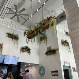 SLAPFISH - Updated January 2026 - 274 Photos & 149 Reviews - 11547 Yard ...