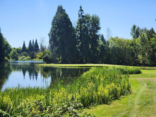 EASTMORELAND GOLF COURSE - Updated December 2025 - 33 Photos & 63 ...