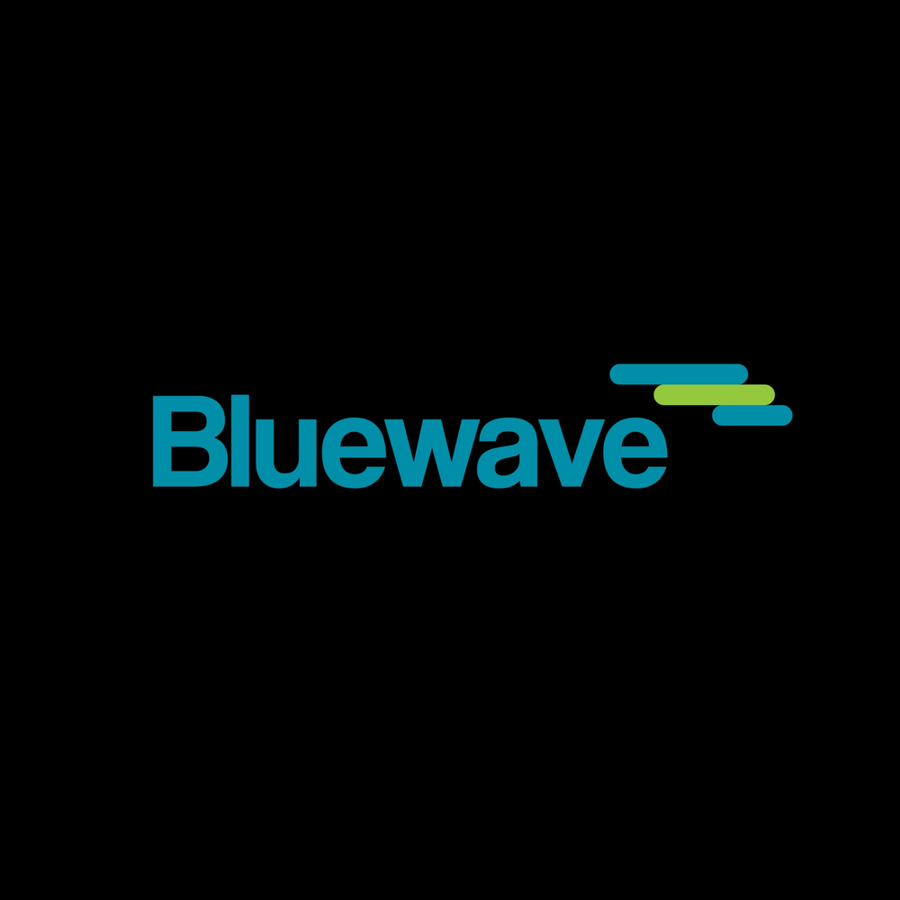 BLUEWAVE TECHNOLOGY GROUP - Updated October 2024 - 1046 Calle Recodo ...