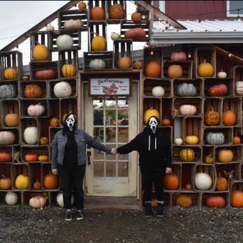 YESTERYEAR FARMS - Updated November 2024 - 181 Photos & 92 Reviews ...